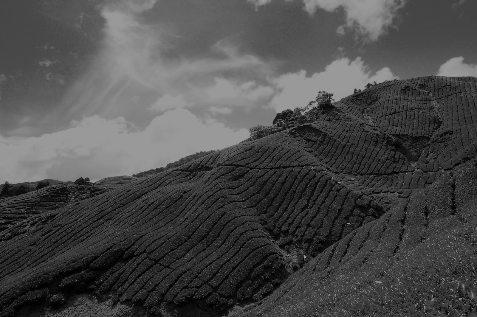 Essancy - Essancy Ltd.